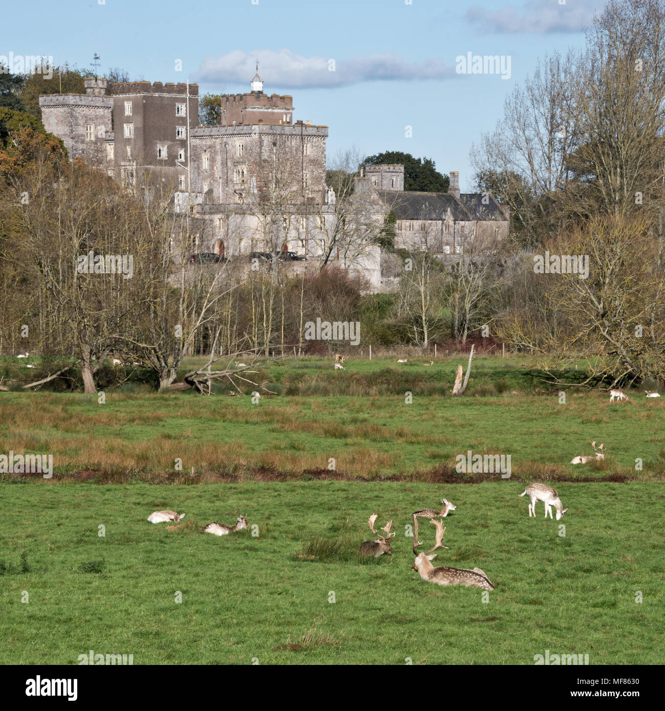 Courtenay family hi-res stock photography and images - Alamy