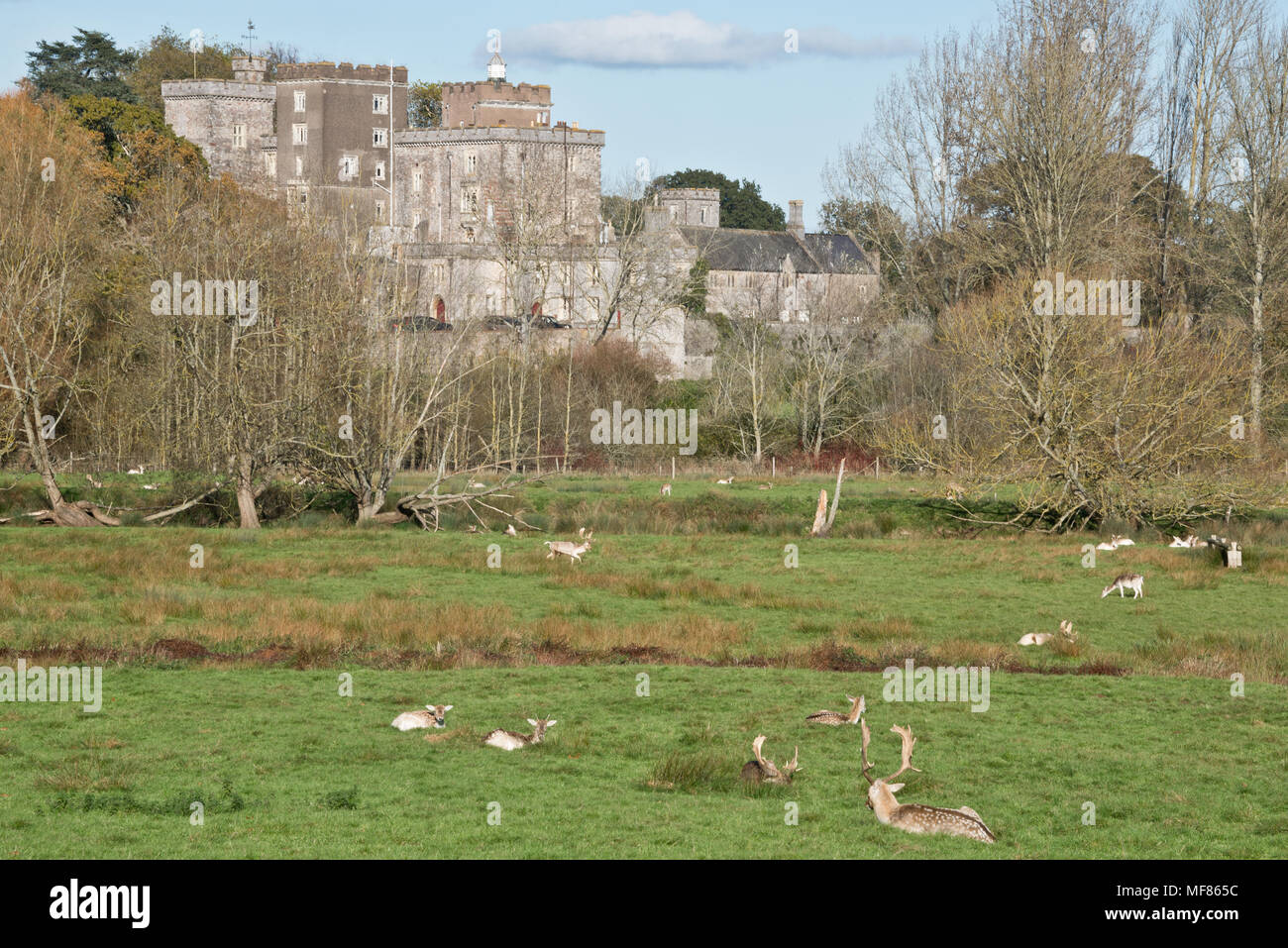 Powderham Castle, home to the Courtenay Family, the Earl and Countess ...
