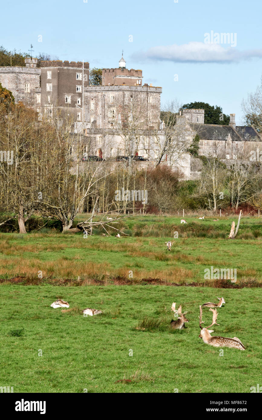 Courtenay estuary hi-res stock photography and images - Alamy