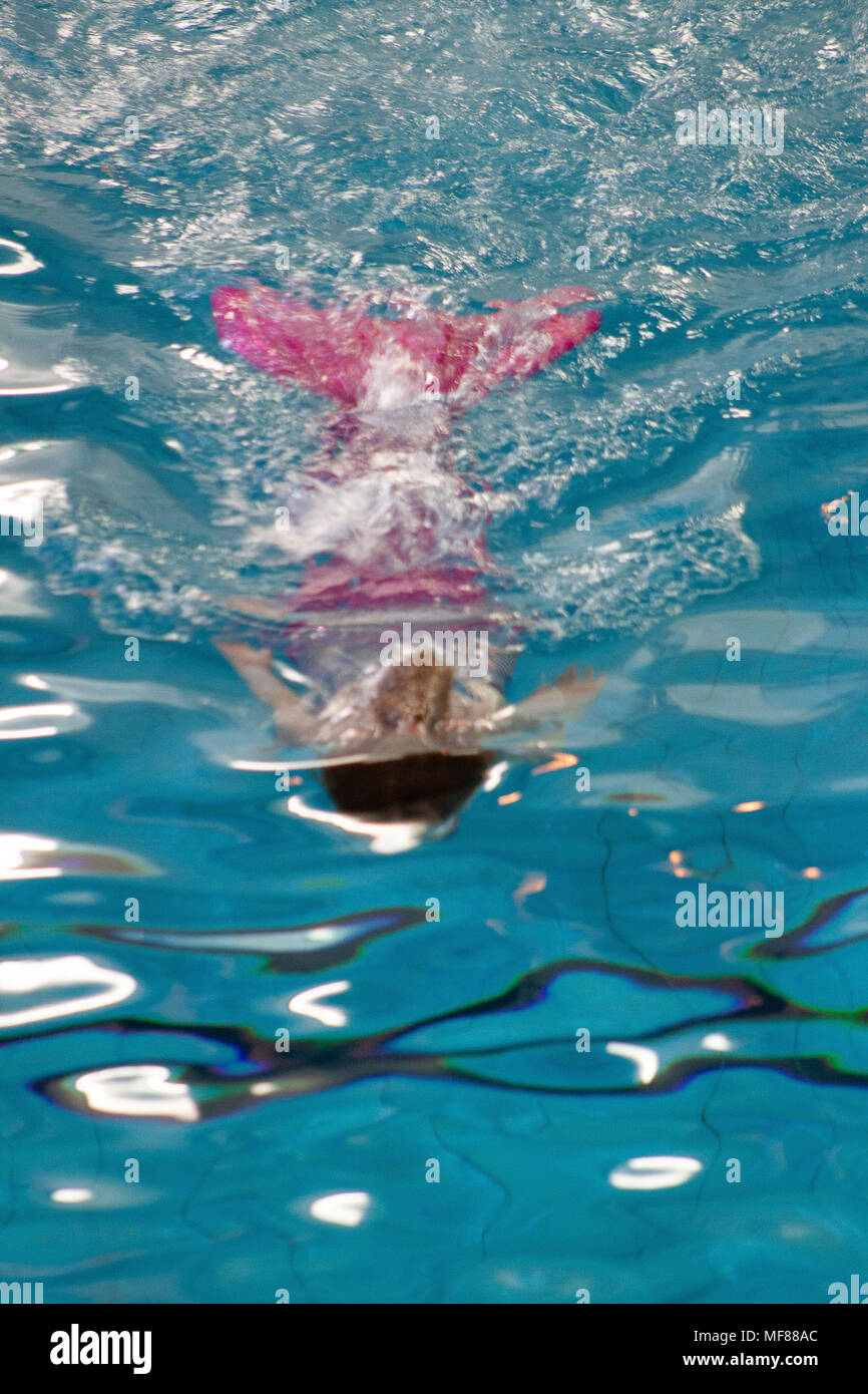 Fish tails shells hi-res stock photography and images - Alamy