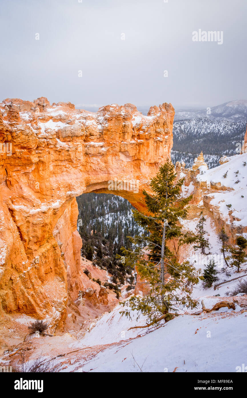 Rock formations created by weather erosion hi-res stock photography and ...