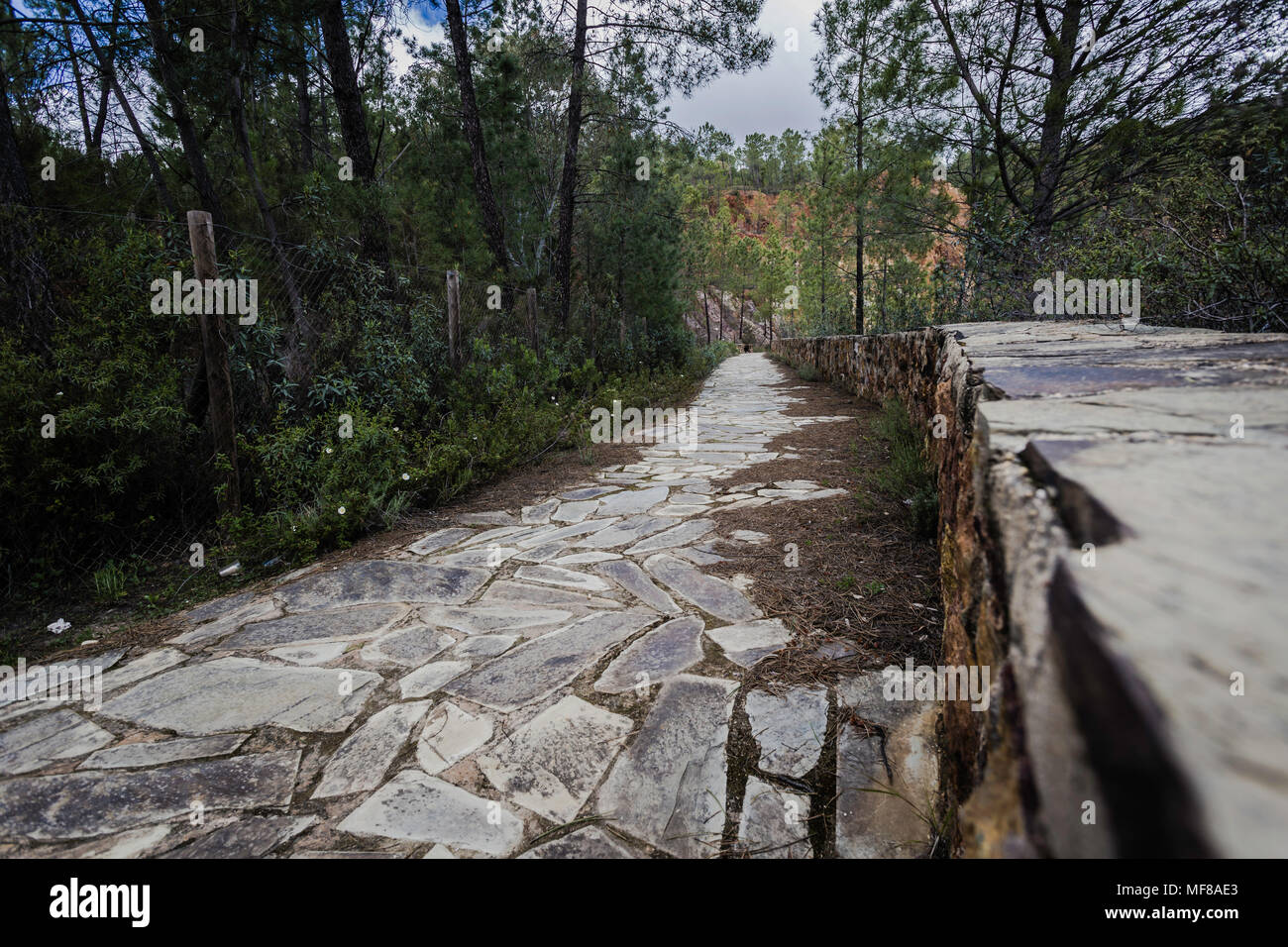Road textures hi-res stock photography and images - Alamy