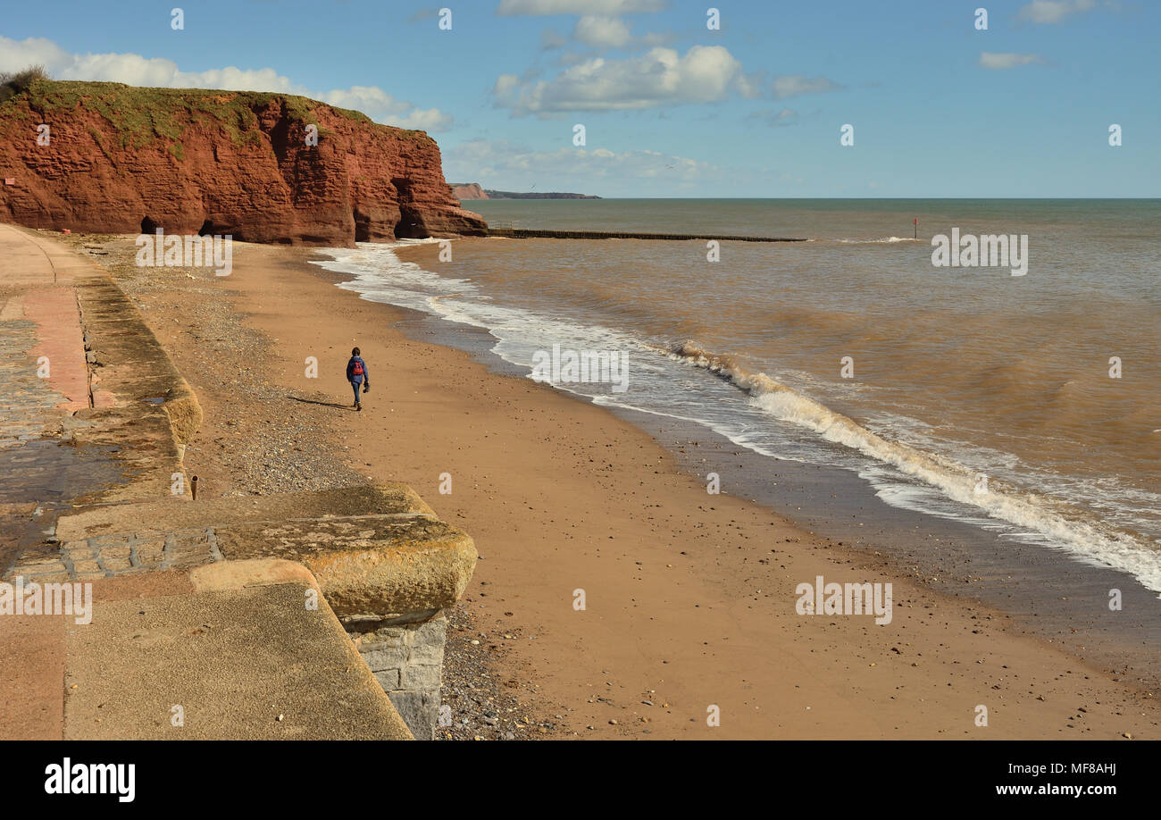 A solitary walker on an otherwise deserted beach at Langstone Rock ...