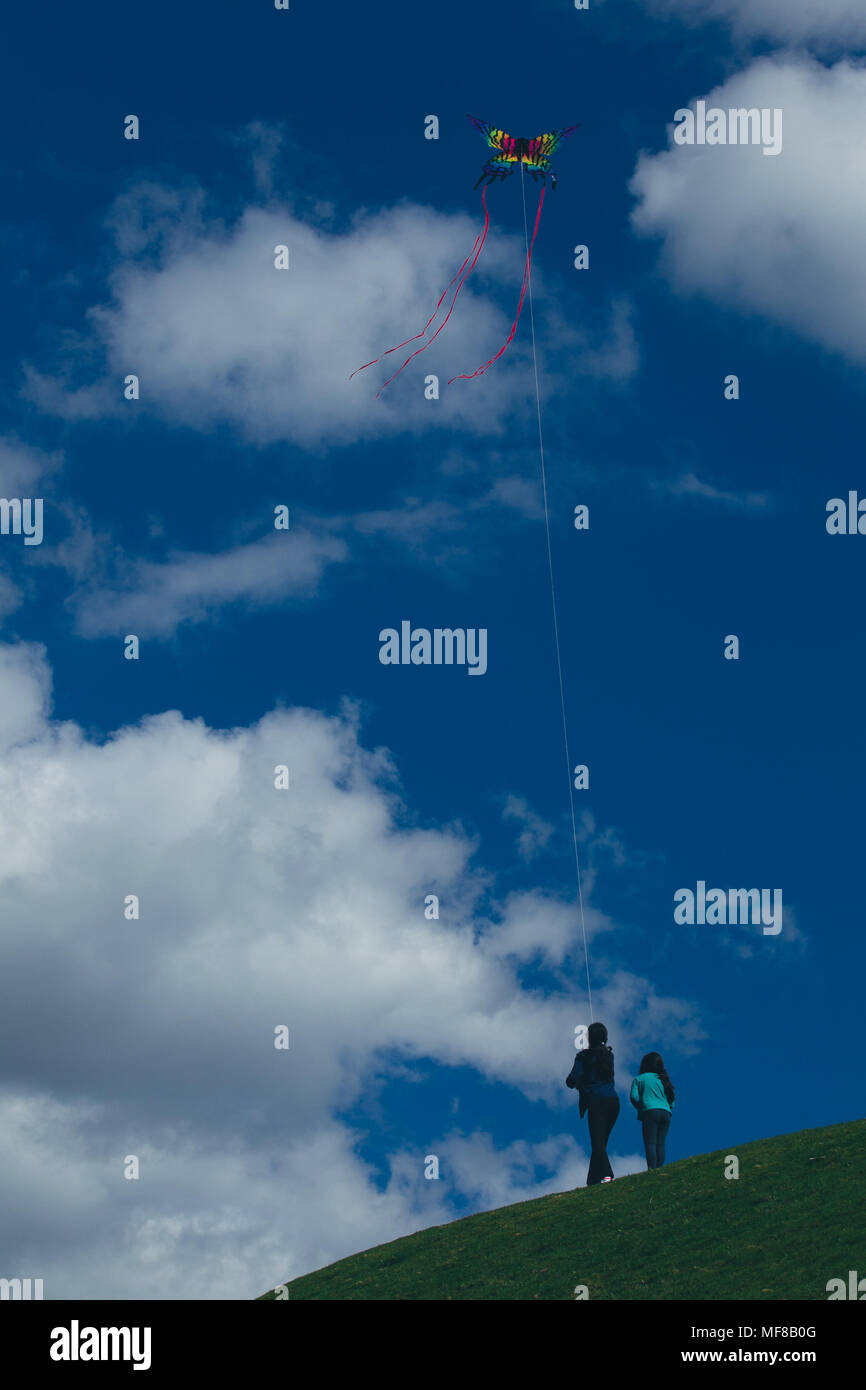 Children flying a kite Stock Photo - Alamy