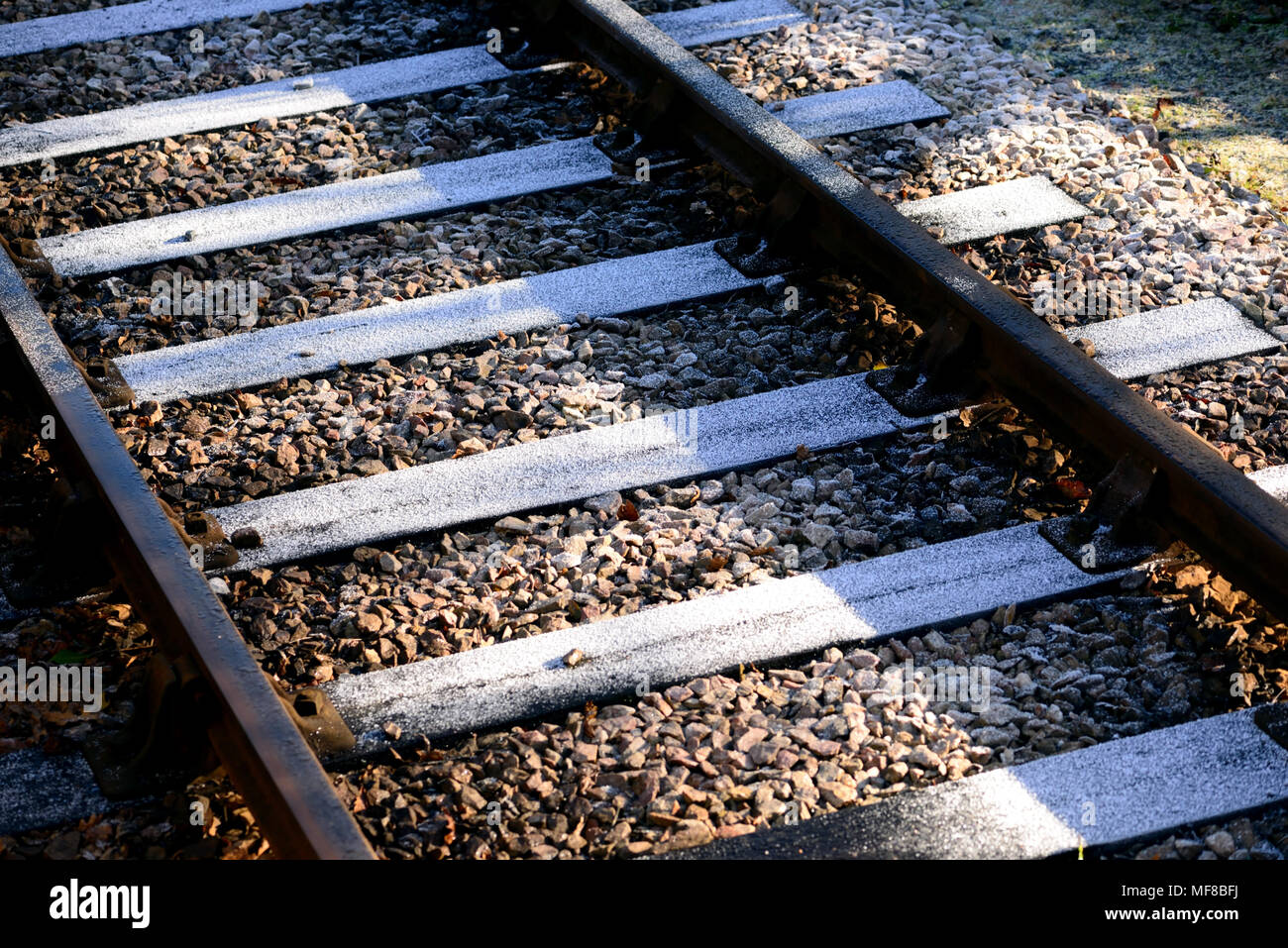 Bull head rail hi-res stock photography and images - Alamy