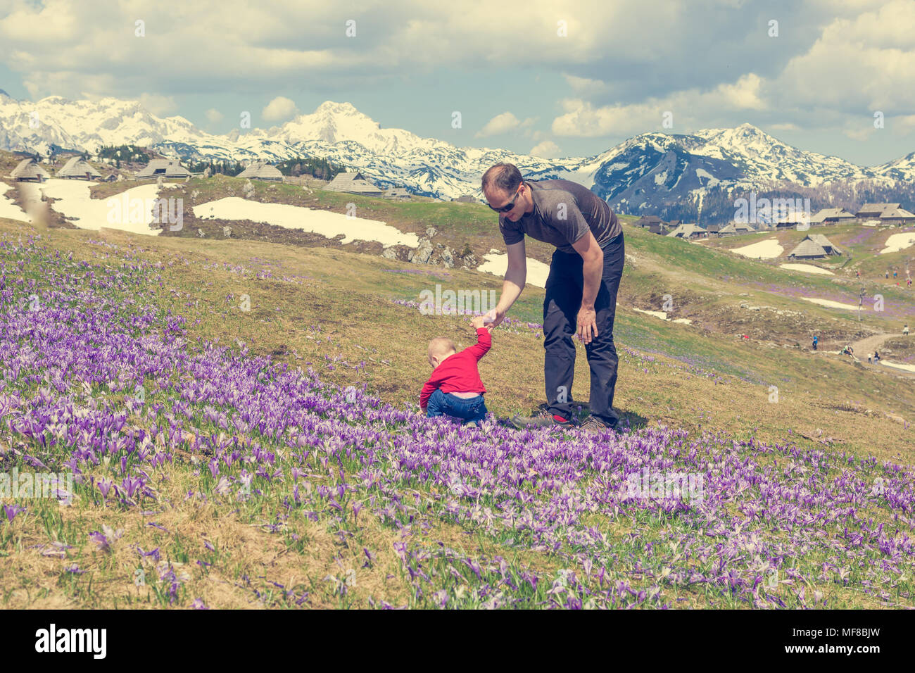 Father and daughter exploring spring flowers Stock Photo - Alamy