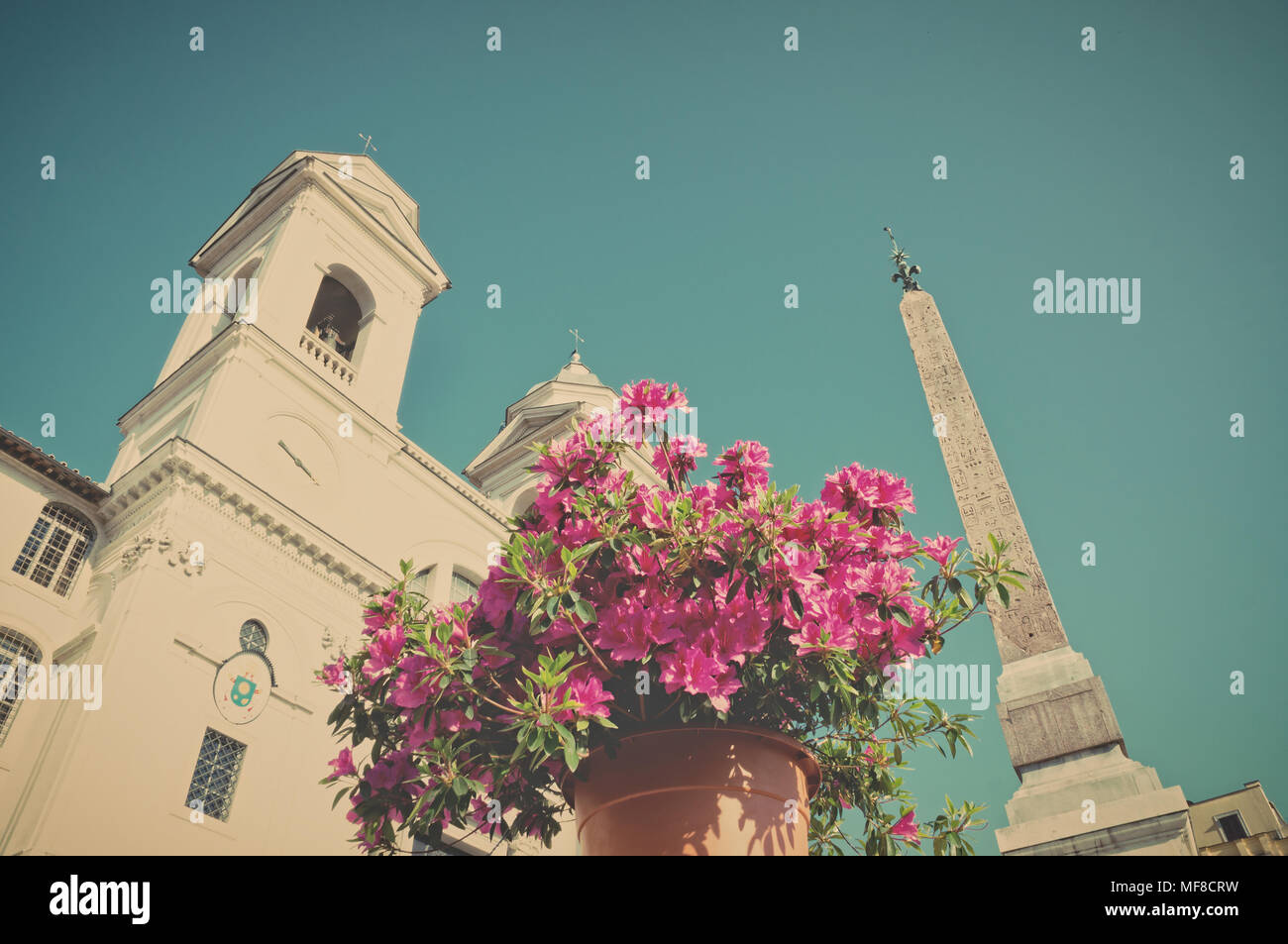 Spanish steps and azaleas in Rome Italy Stock Photo - Alamy