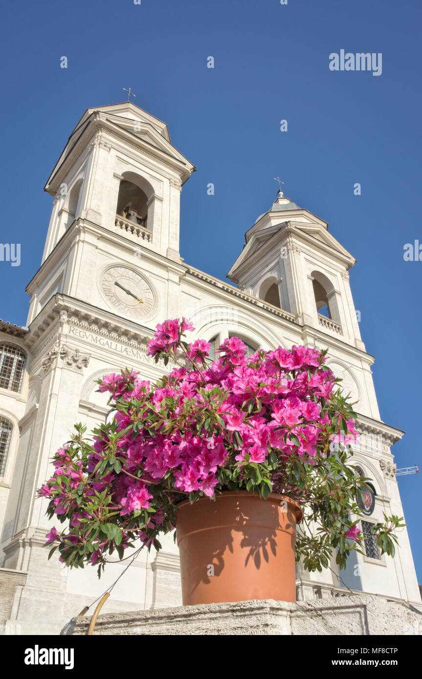 Spanish steps and azaleas in Rome Italy Stock Photo - Alamy