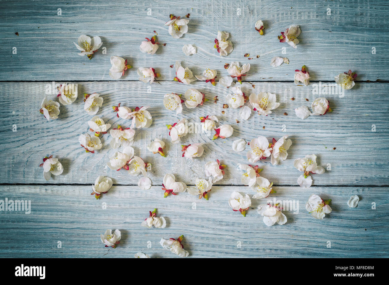 Fogging tree hi-res stock photography and images - Alamy