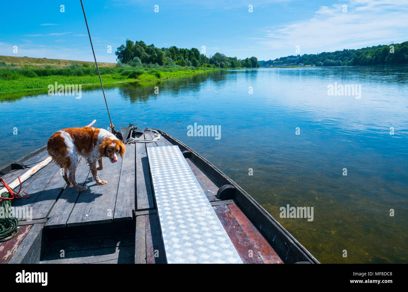 Traditional boat tour, Loire River, Chaumond-sur-Loire, Loir-et-Cher ...