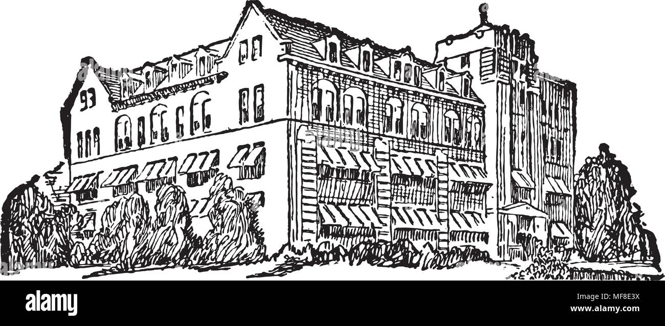 High school university students Stock Vector Images - Alamy