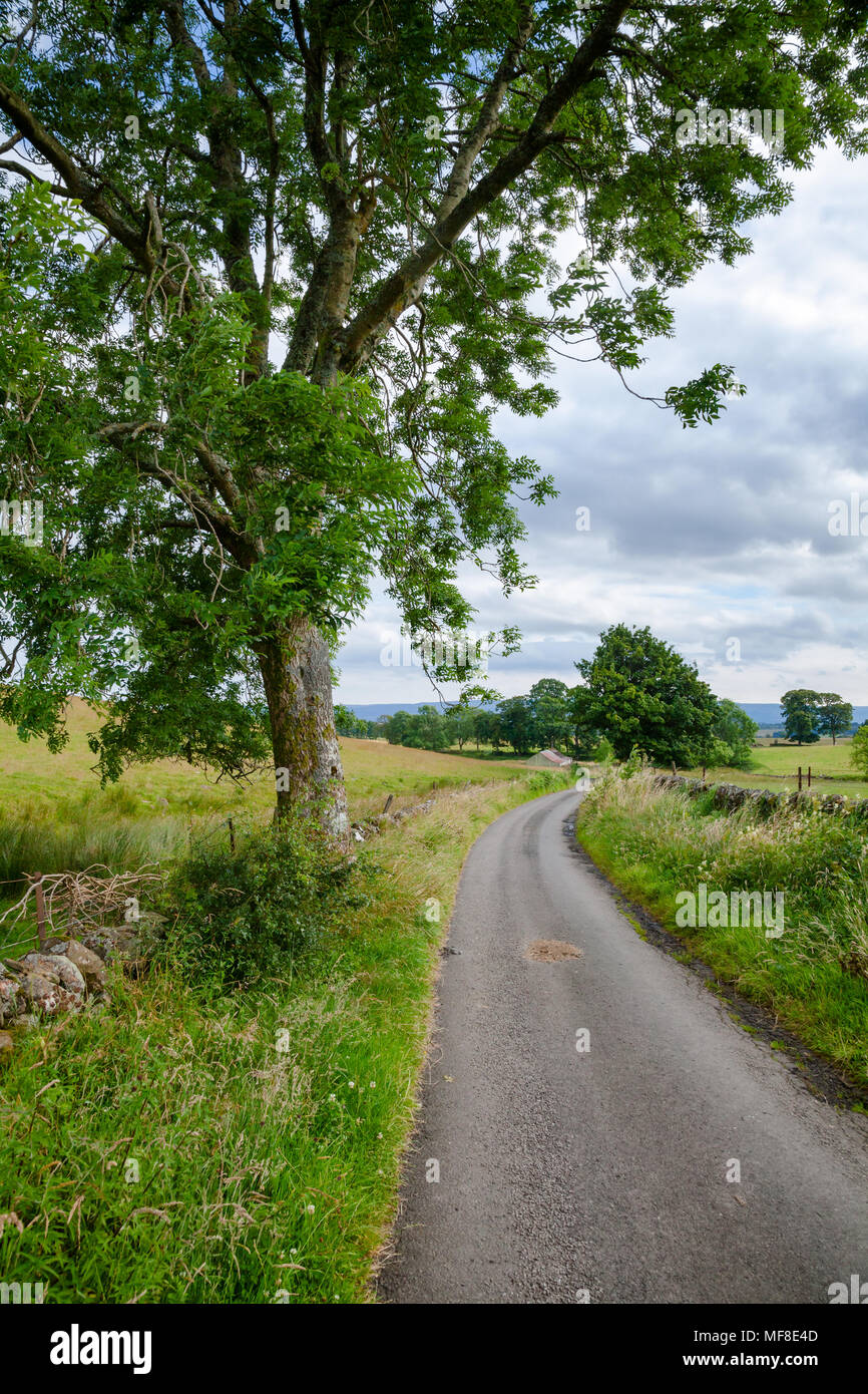 Summer rural landscape with winding one lane country road going through ... Summer rural landscape with winding one lane country road going through ...