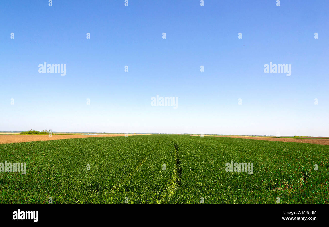 Natural plantation hi-res stock photography and images - Alamy