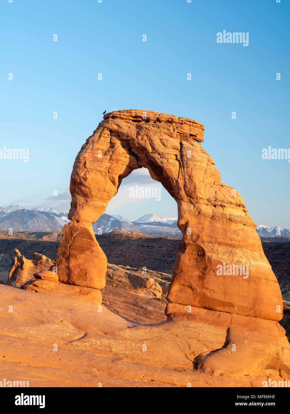 Raven arch hi-res stock photography and images - Alamy