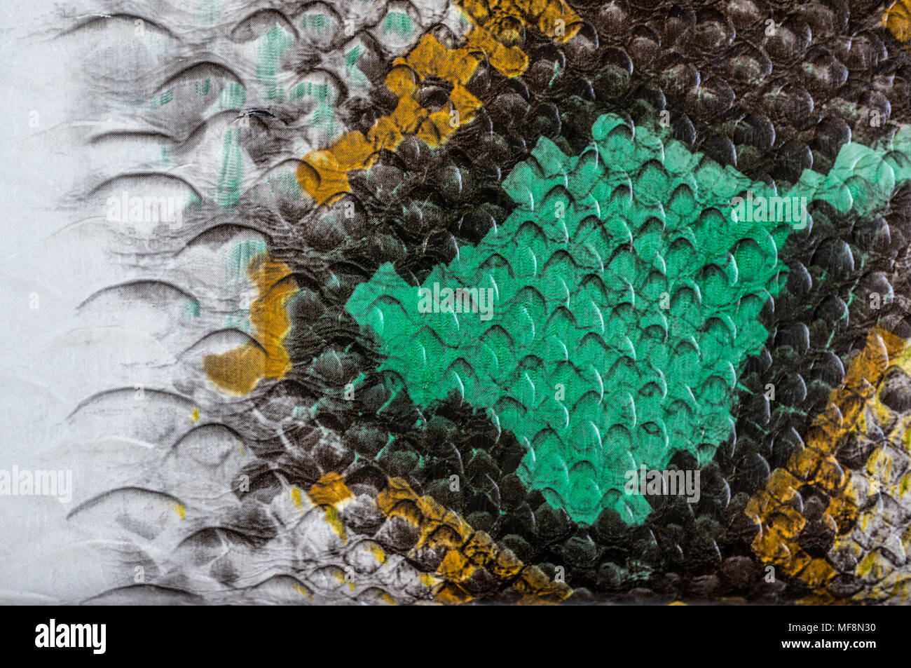 Python texture hi-res stock photography and images - Alamy