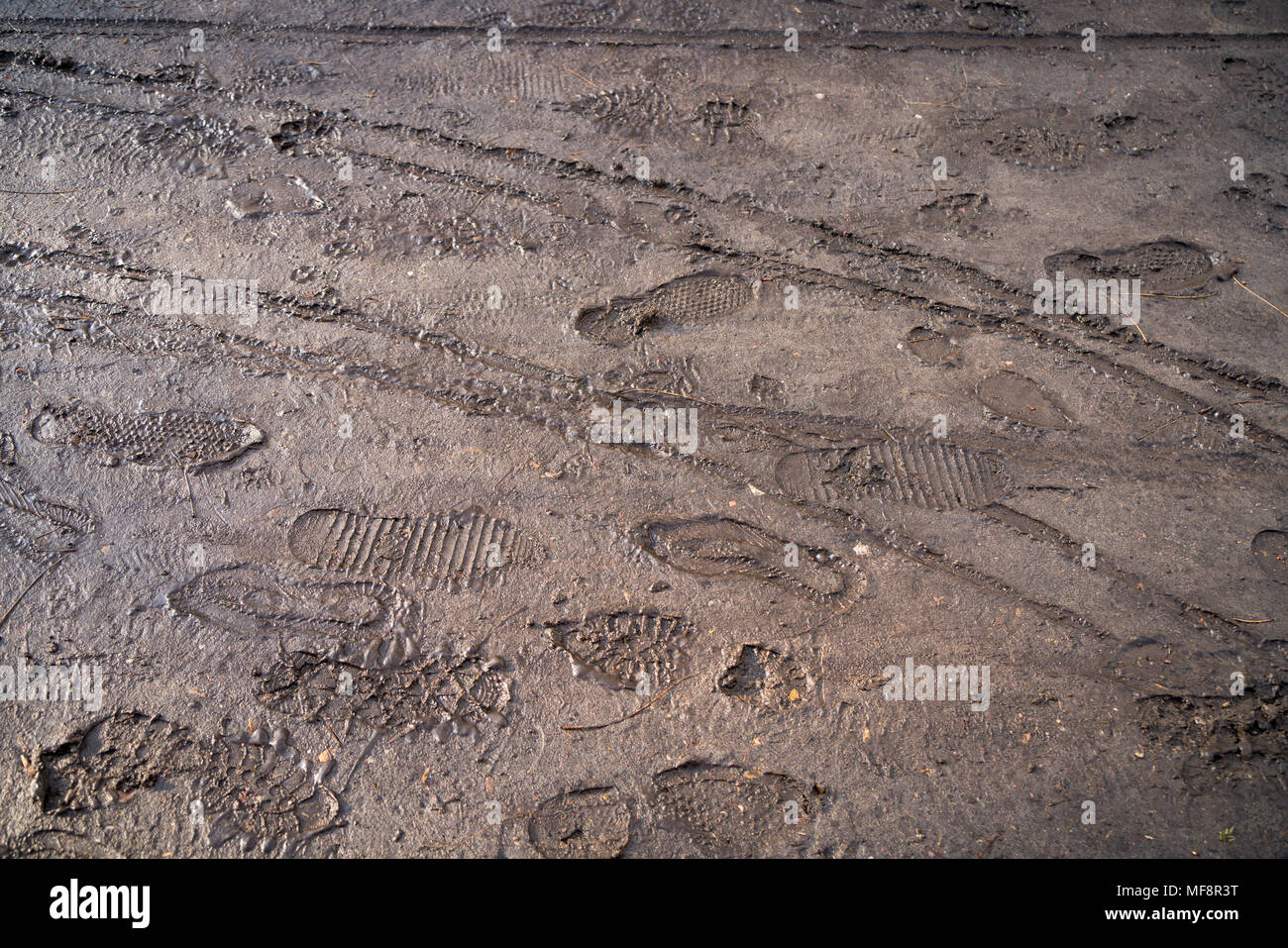 footprints in the mud, for backgrounds Stock Photo - Alamy