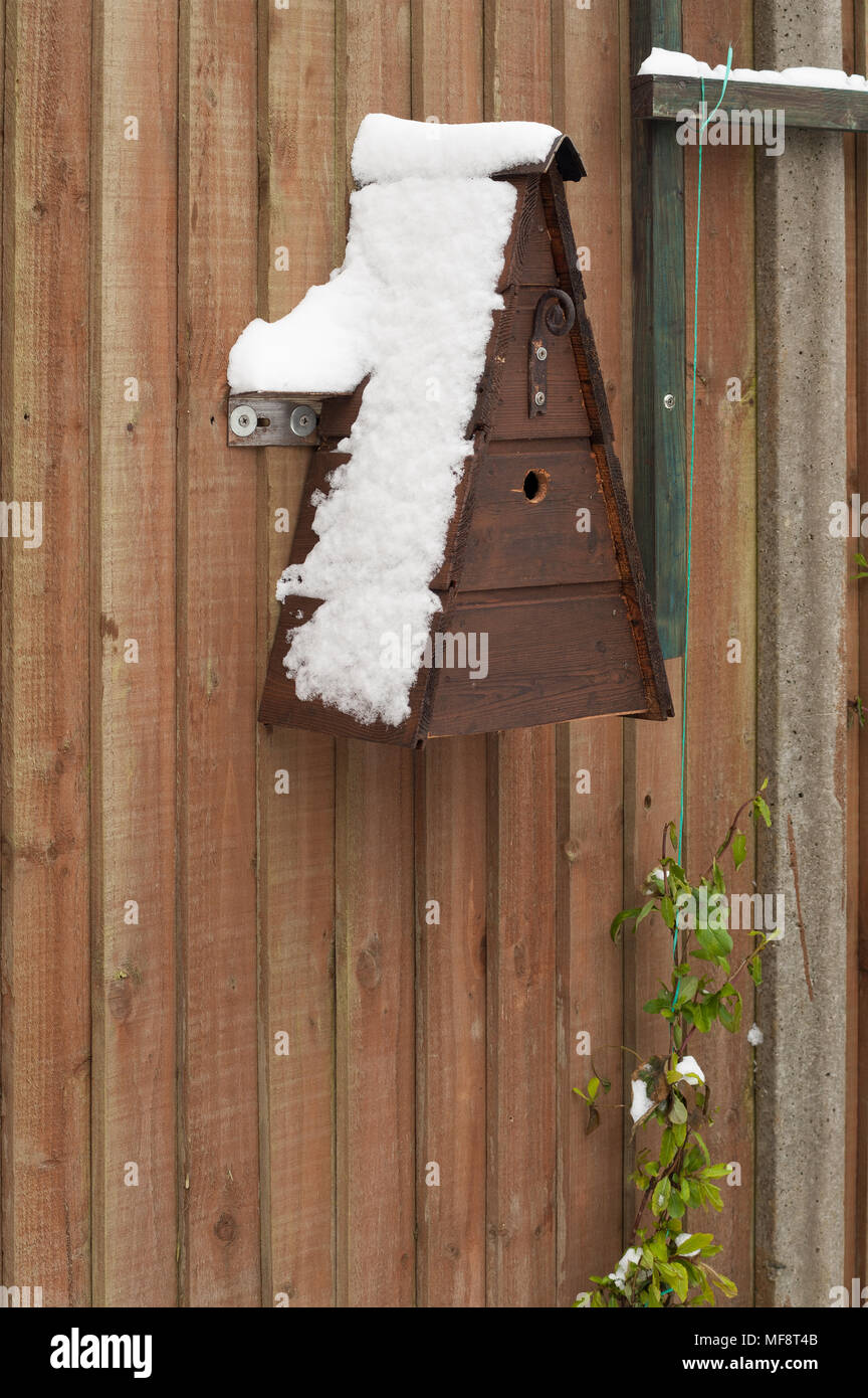 Bespoke recycled wooden triangular tit bird box bird home attached to ...