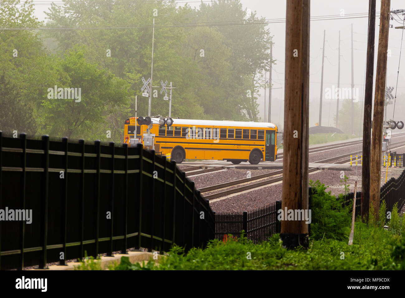 transporting students to school on a foggy morning Stock Photo - Alamy