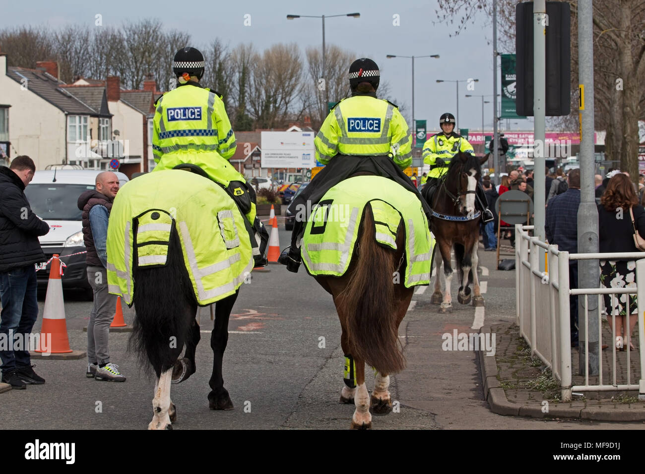 Mounted British Police Officers on duty at the Aintree Grand National ...