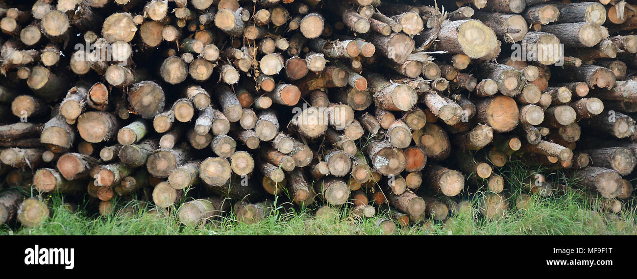 Largest forest in yorkshire hi-res stock photography and images - Alamy