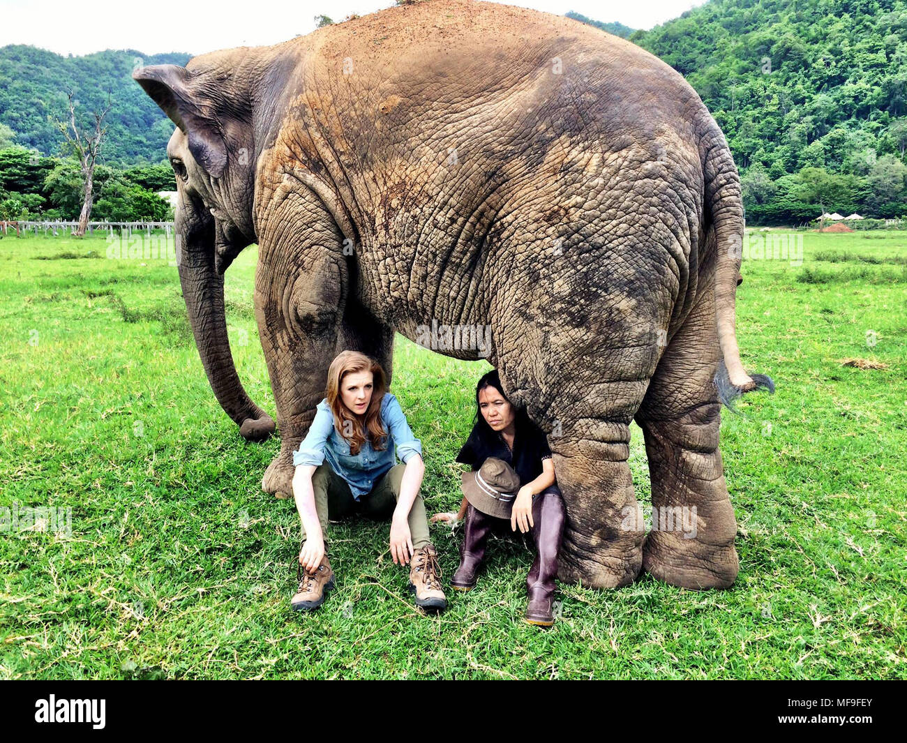 Love And Bananas Aka Love And Bananas An Elephant Love Story From Left Ashley Bell Lek