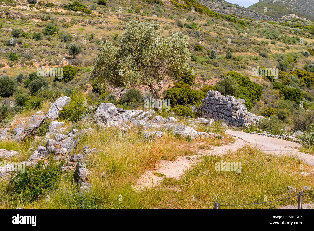 Ancient ruins of Mycenae, center of Greek civilization, Peloponnese ...
