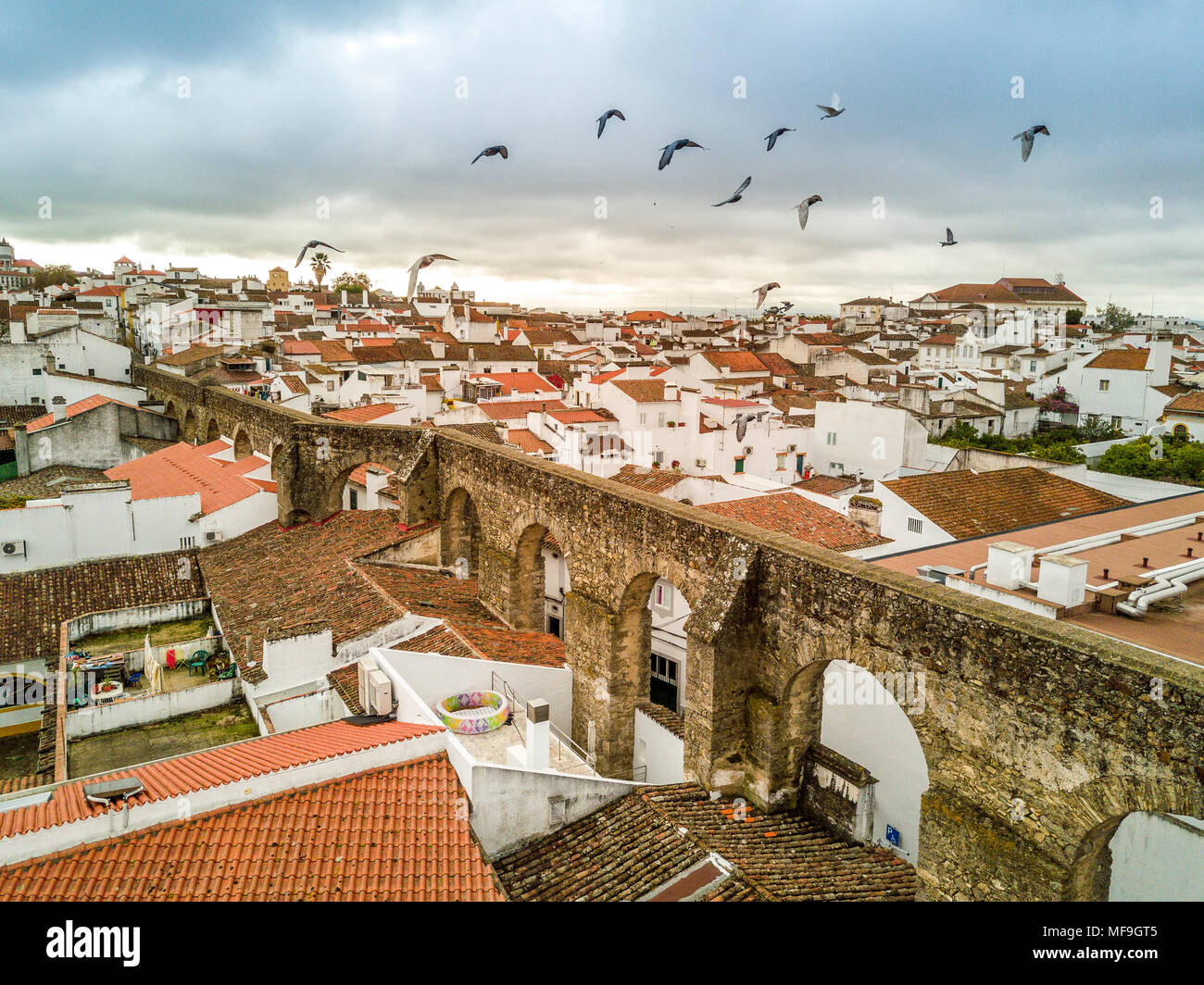 Aerial view of historic Evora with Roman aqueduct and birds, Alentejo ...