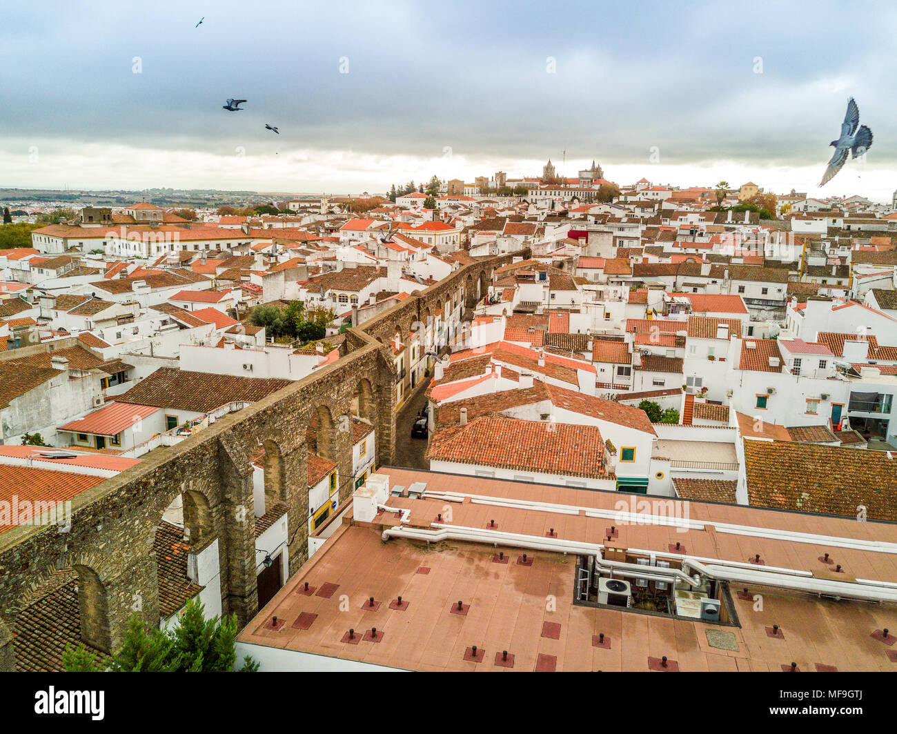 Aerial view of historic Evora with Roman aqueduct and birds, Alentejo ...