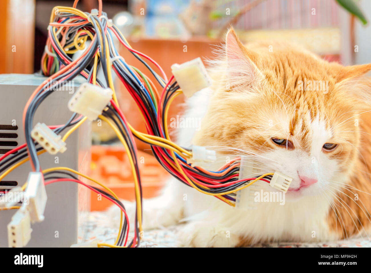 Digital wires hi-res stock photography and images - Alamy