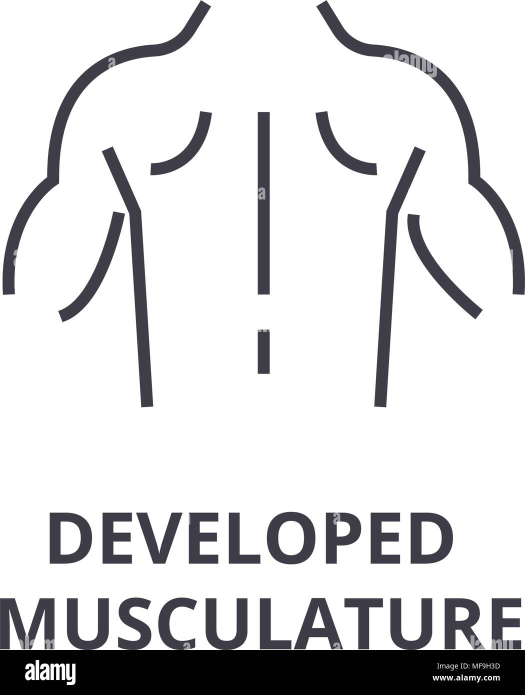 developed musculature thin line icon, sign, symbol, illustation, linear ...