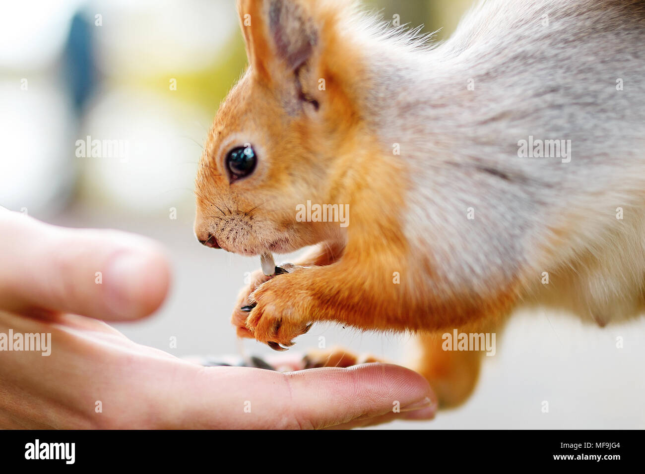 Funny Pictures Of Animals Eating