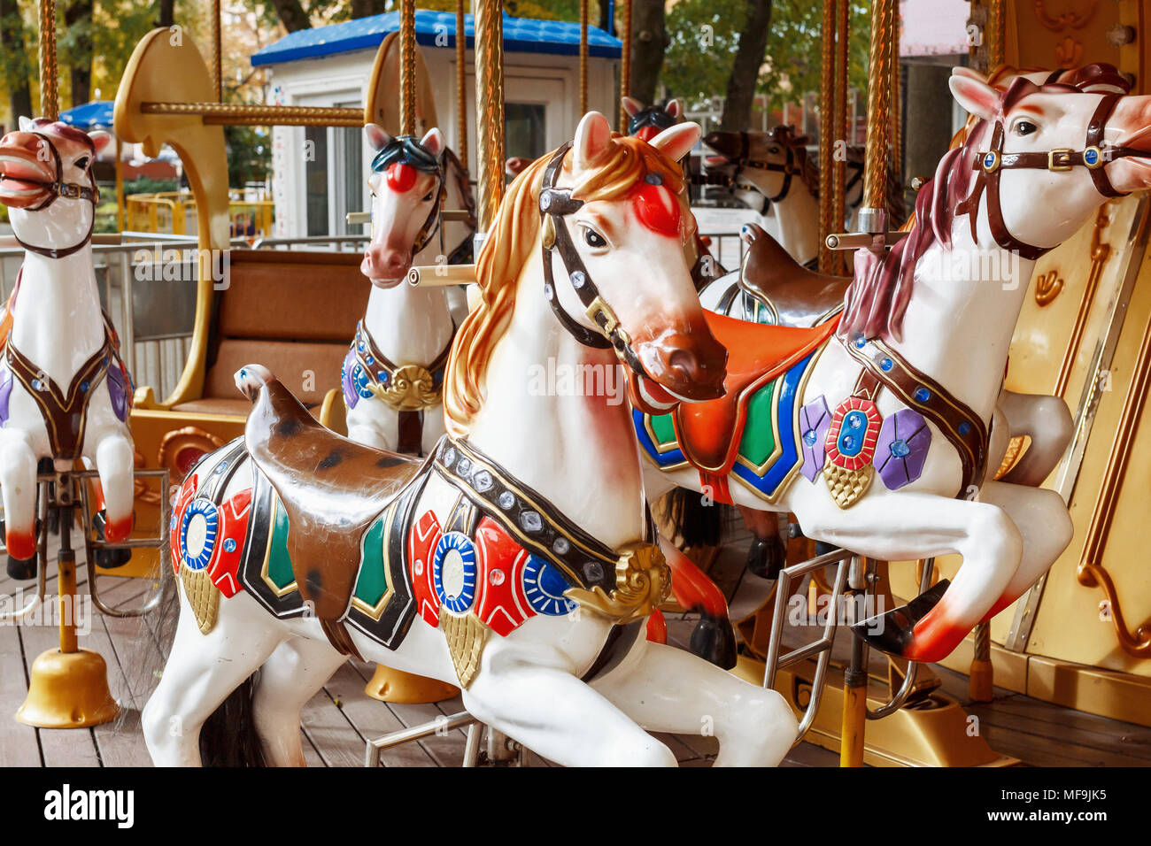 carousel horse in amusement park. Without people. A close-up of a horse ...