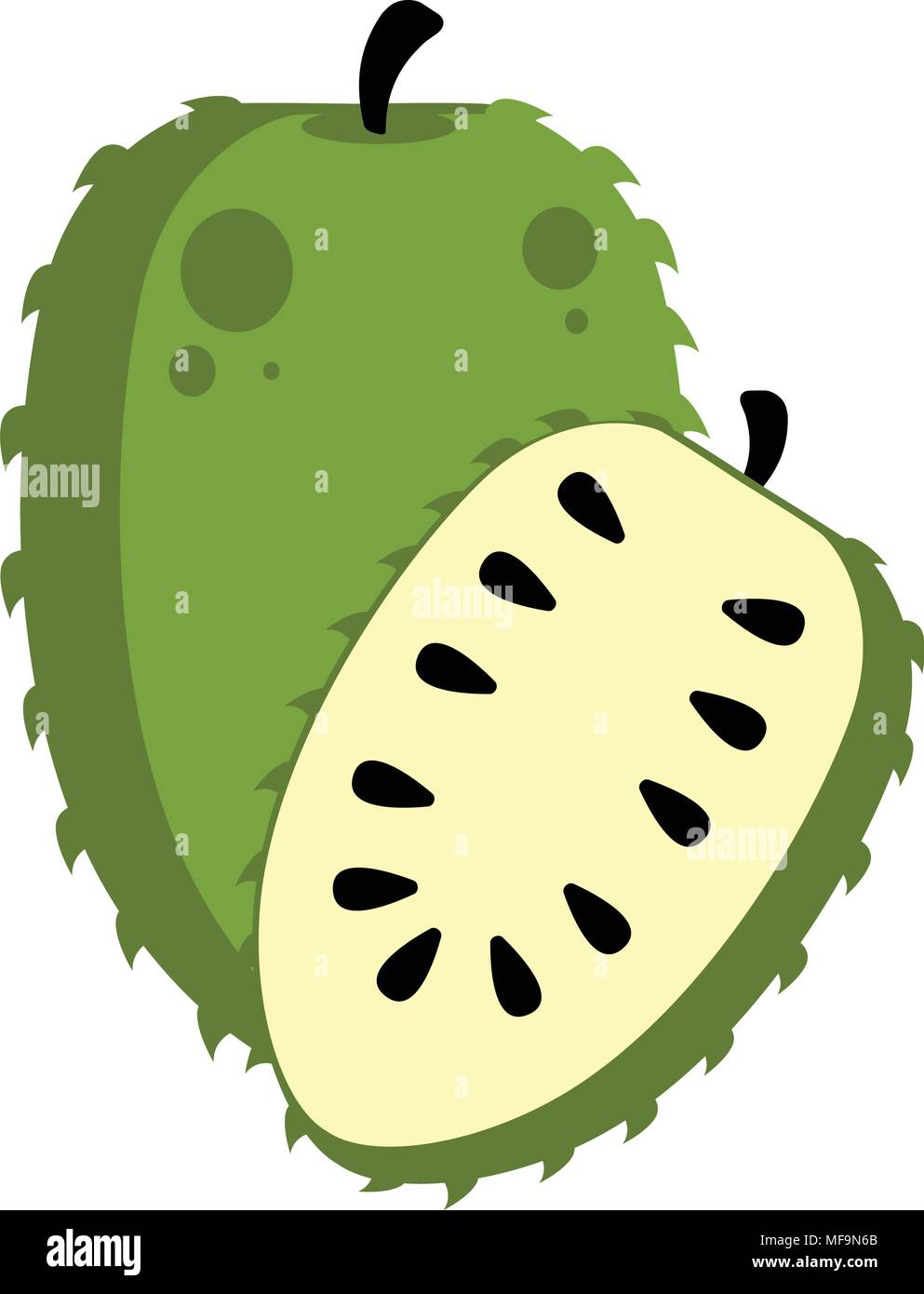 Isolated soursop fruit Stock Vector Image & Art - Alamy