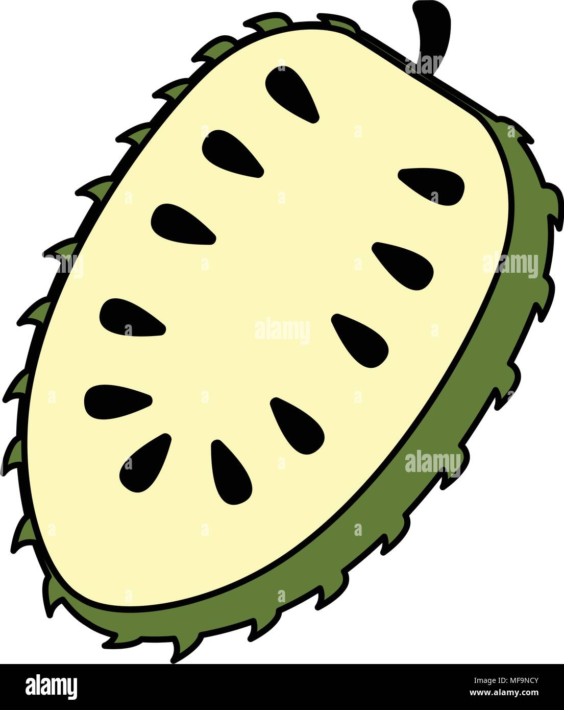 Isolated cut soursop icon Stock Vector Image & Art - Alamy
