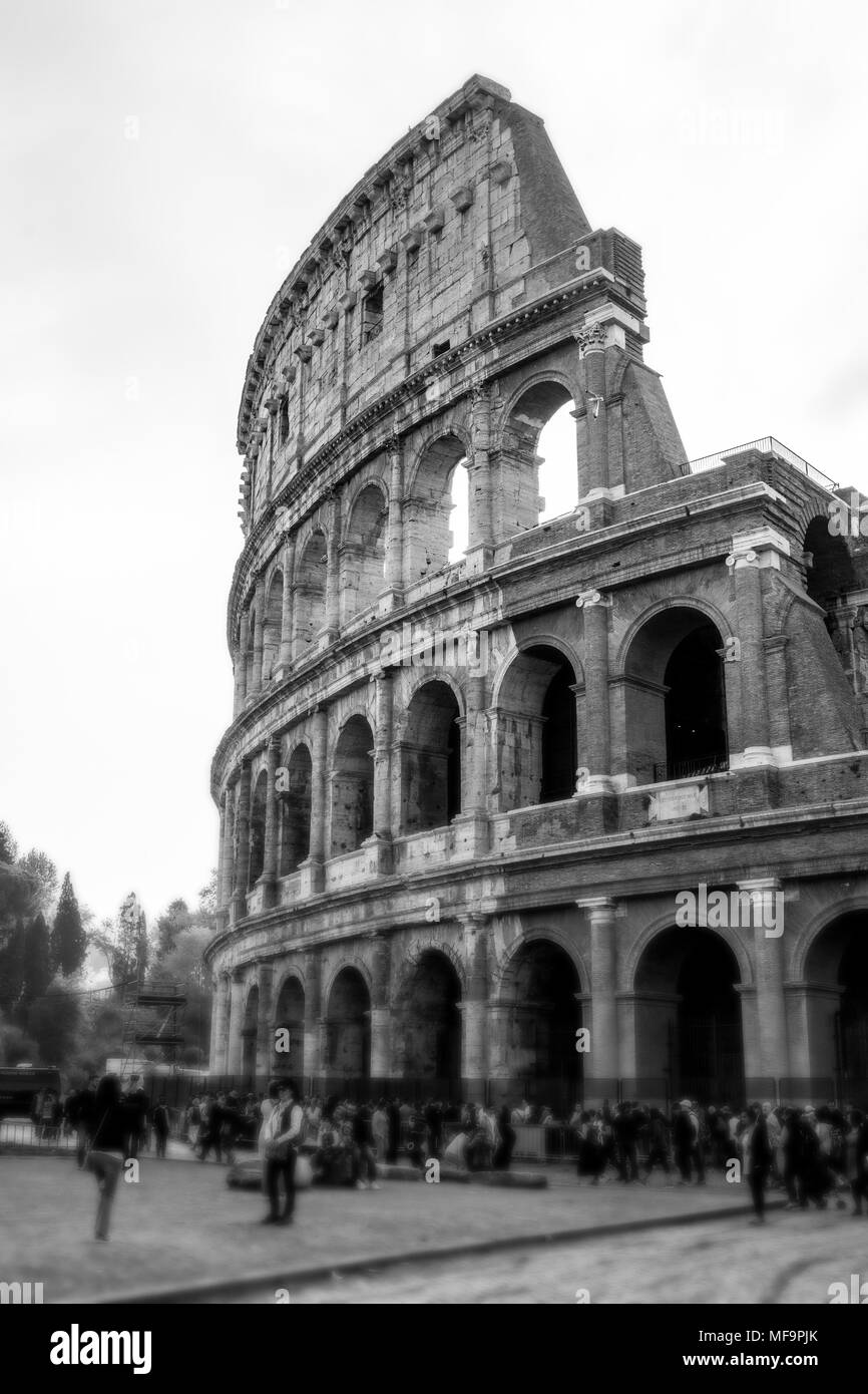 Colosseum Black And White