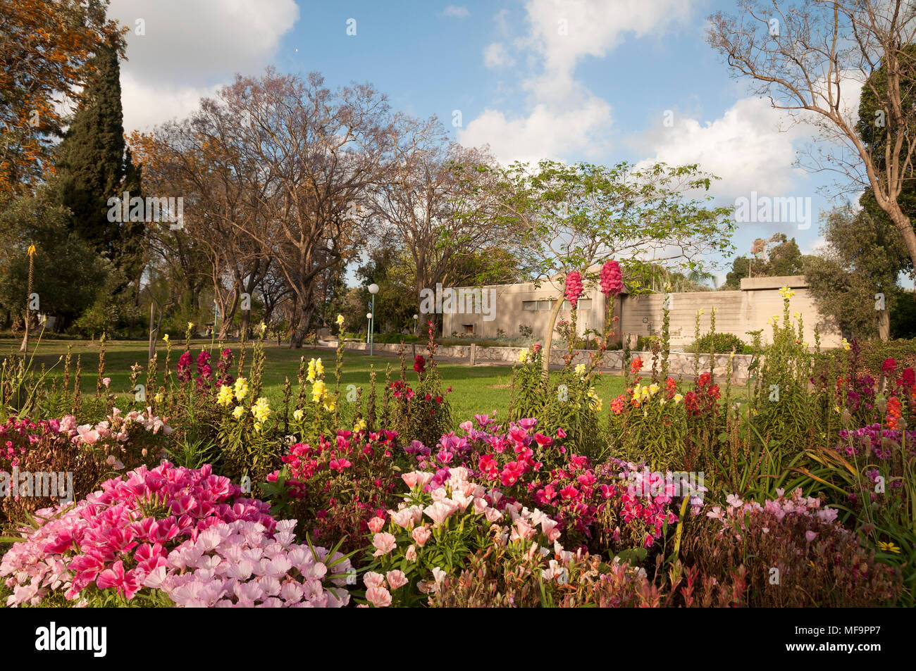 Coastal village israel hi-res stock photography and images - Alamy