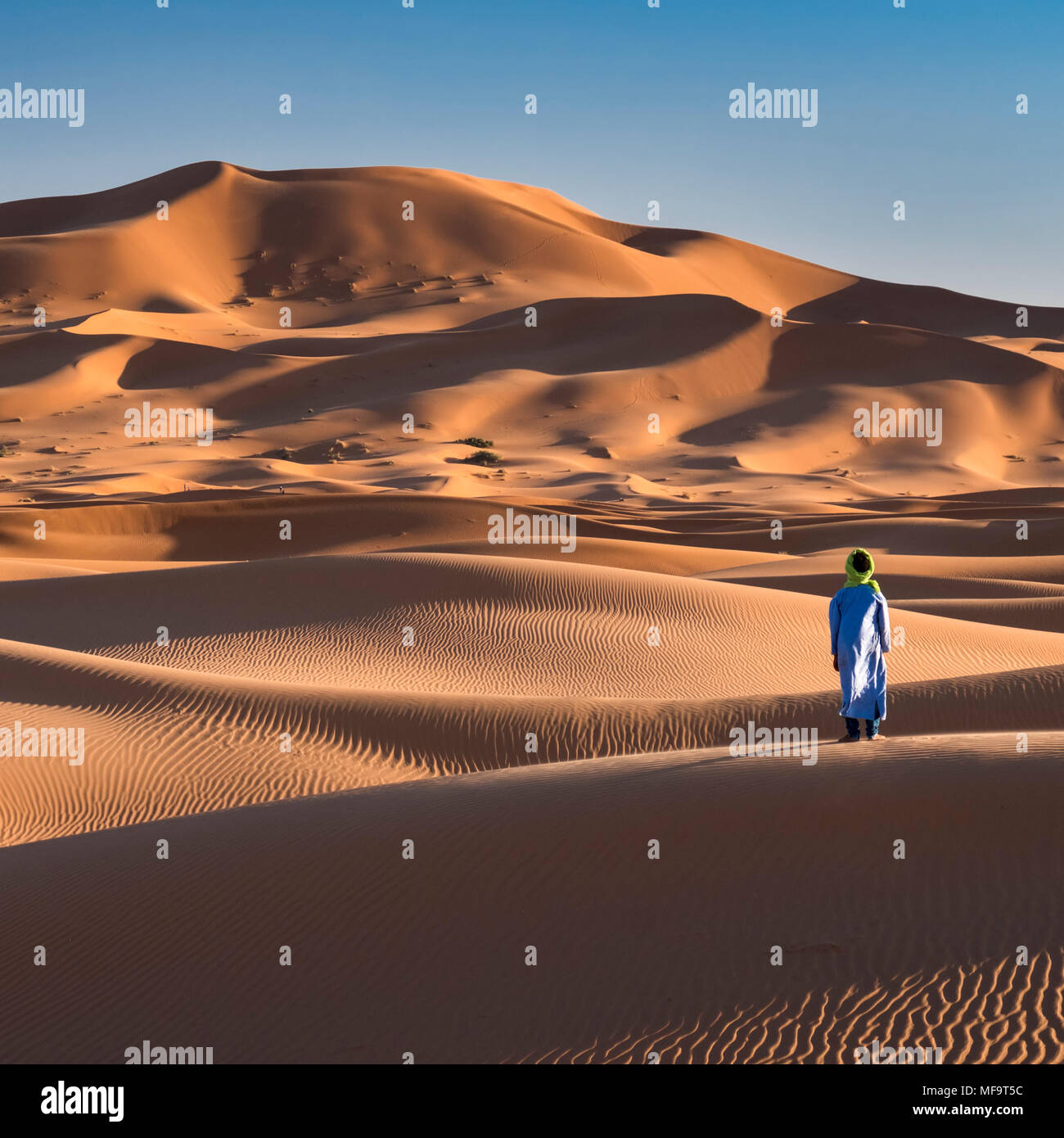 Berber man hi-res stock photography and images - Alamy