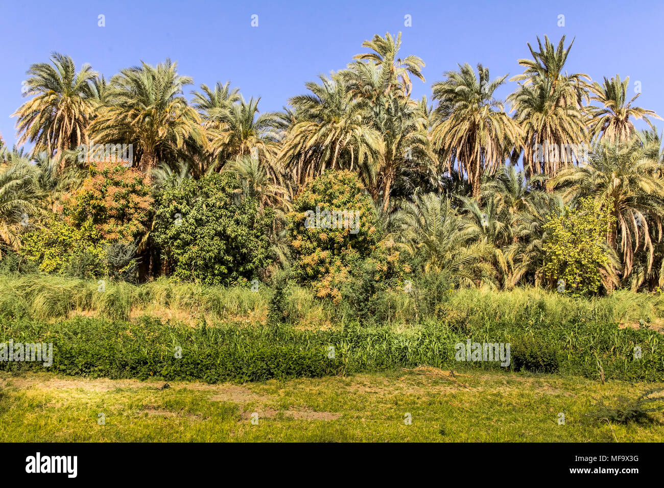 Sudanese landscape hi-res stock photography and images - Alamy