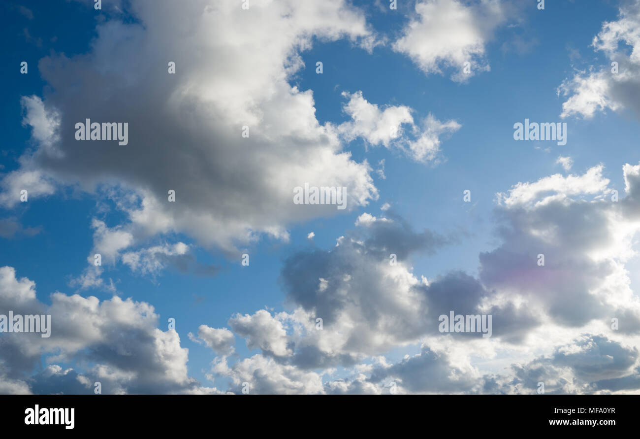 Clear Sunny Day