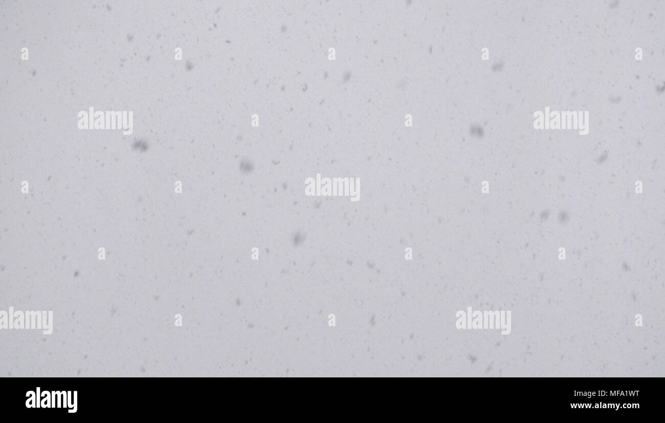 Snowfall, snow falling at winter day. Overcast sky with falling ...
