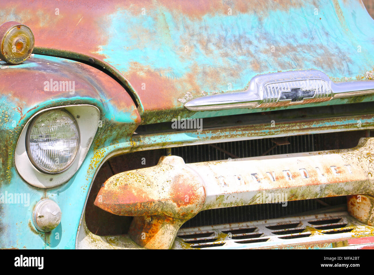 Close up of an old rustic Chevrolet truck with rusty, worn, moldy front ...