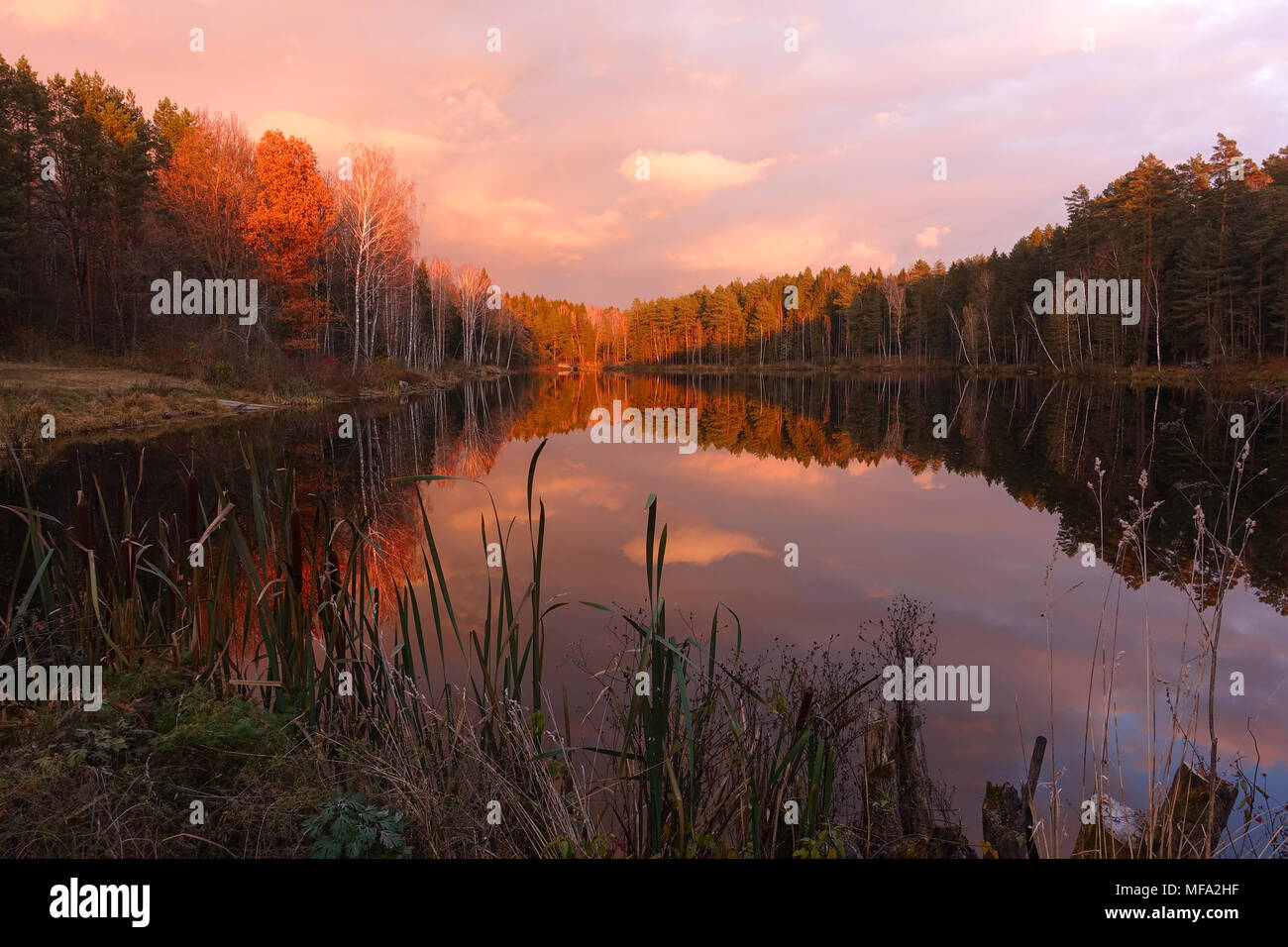 Beautiful forest lake at amazing sunrise Stock Photo - Alamy