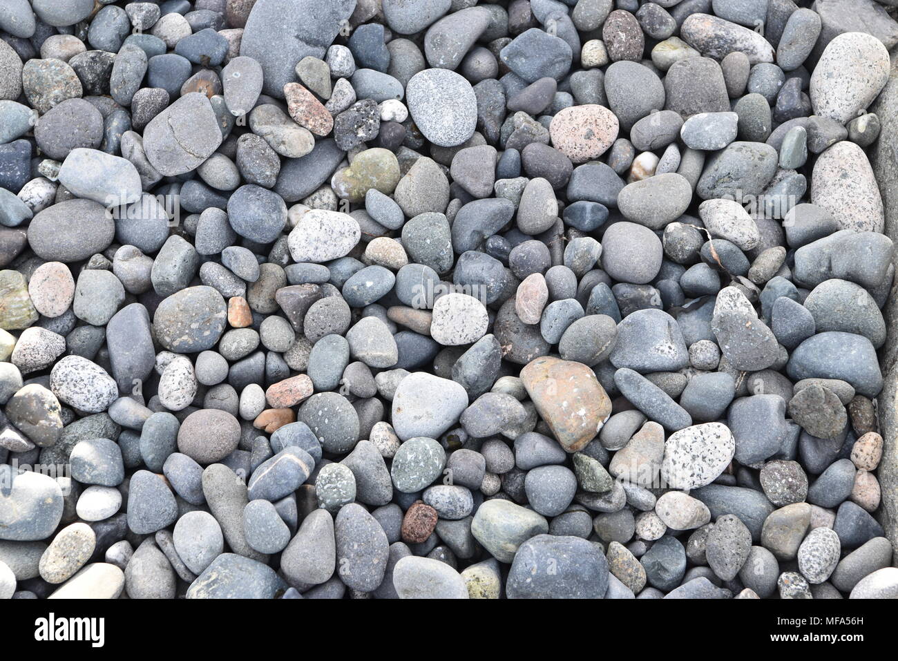 Smooth ocean rocks driftwood hi-res stock photography and images - Alamy