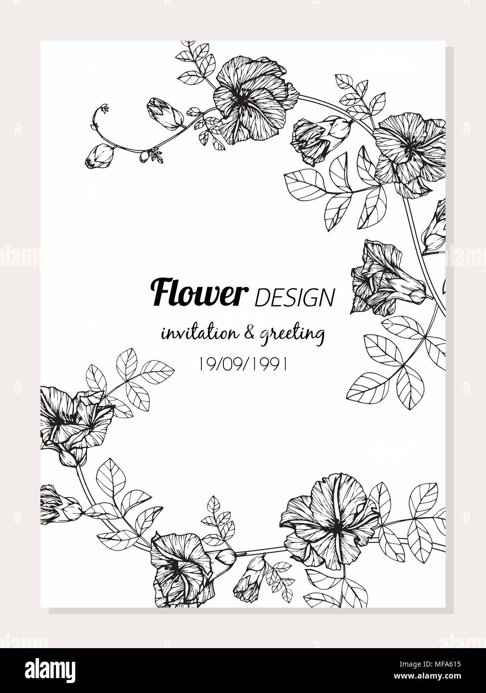 Butterfly pea flower frame drawing illustration for invitation and ...