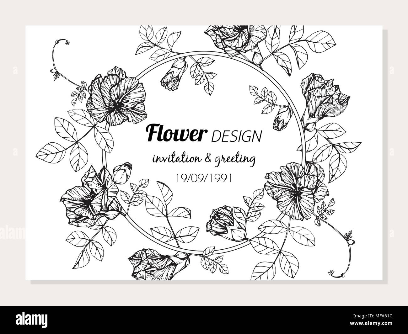 Butterfly pea flower frame drawing illustration for invitation and ...