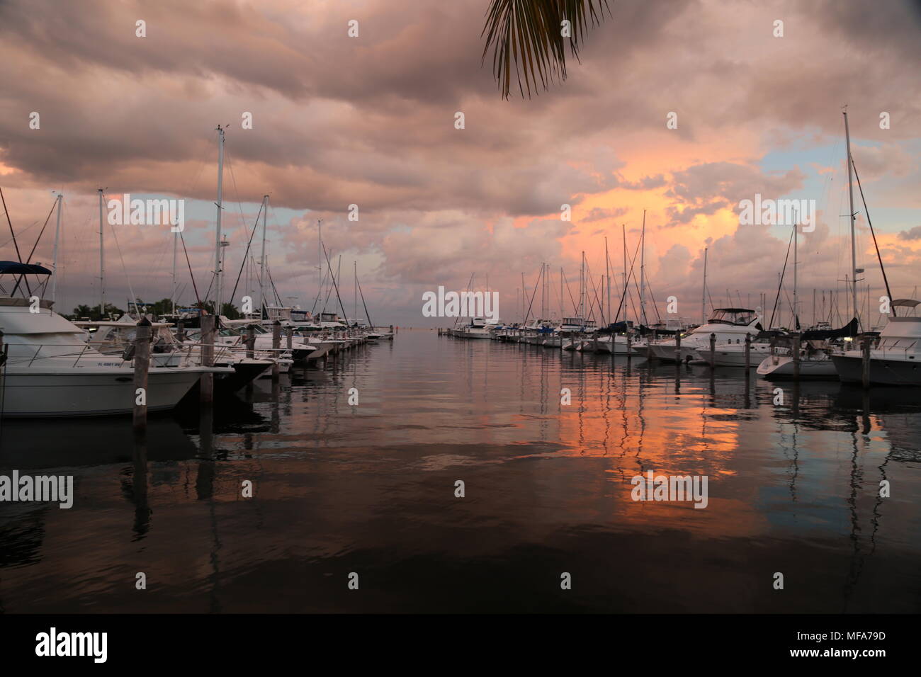 Miamy beach sunset hi-res stock photography and images - Alamy
