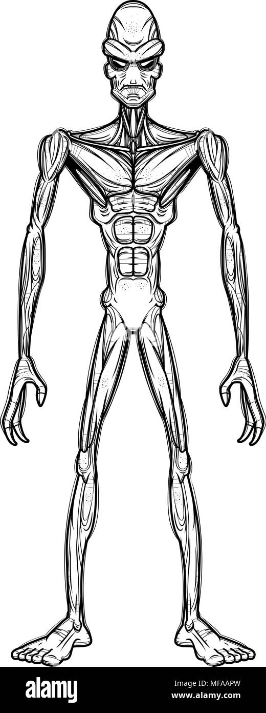 A cartoon illustration of an evil looking alien Stock Vector Image ...