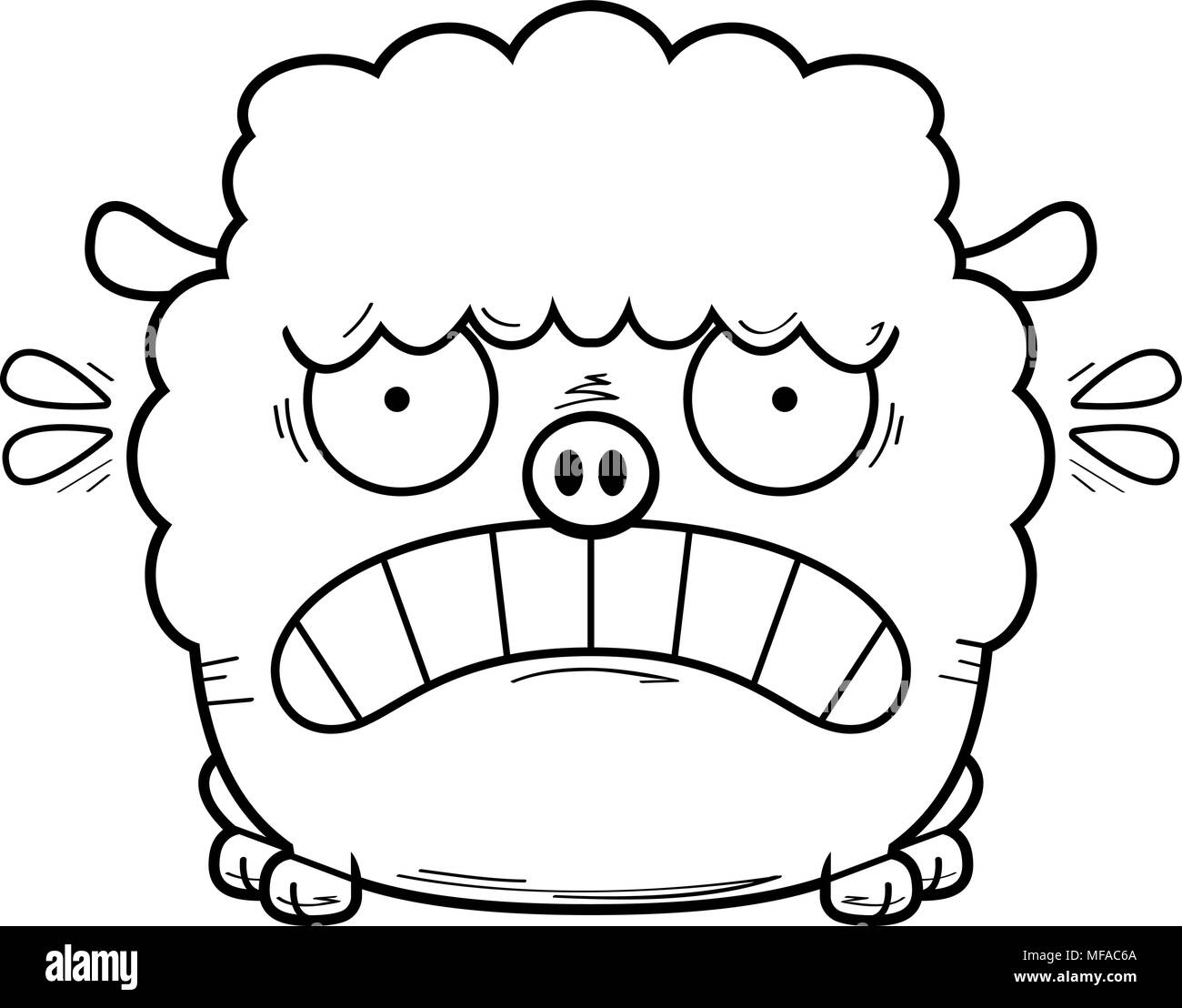 Frightened sheep hi-res stock photography and images - Alamy