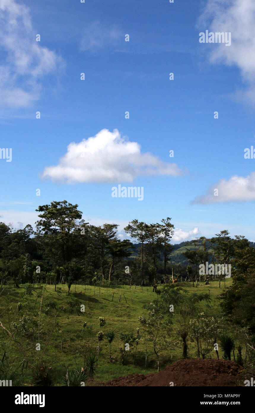 Colors of costa rica hi-res stock photography and images - Alamy