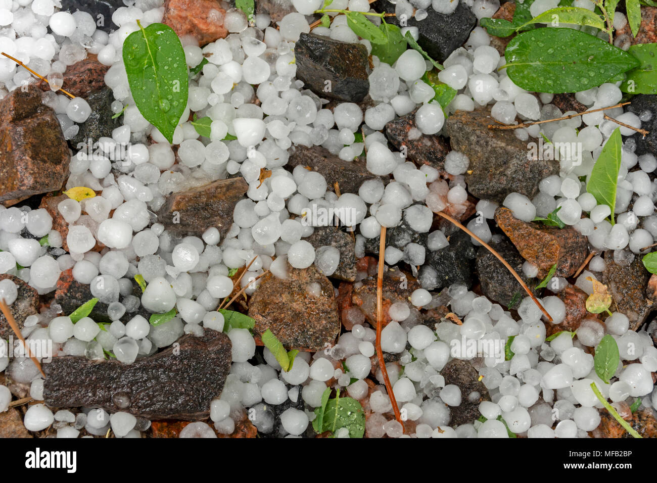 Hail stones hi-res stock photography and images - Alamy